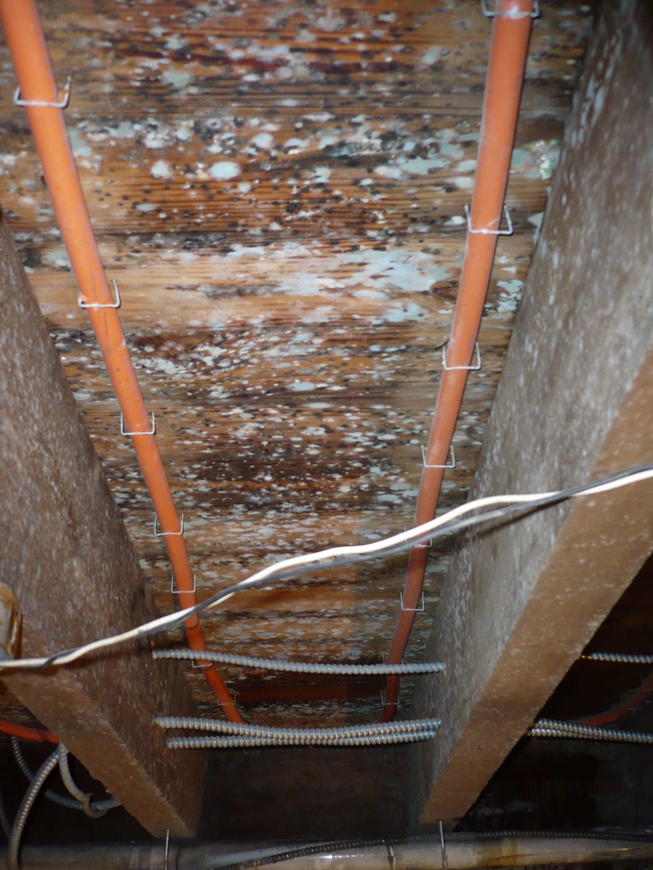 Dehumidifiers in the Home for Mold Protection - Long Island, NY